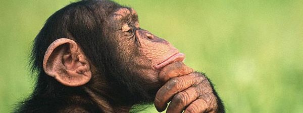 Las ilusiones metafísicas de un cerebro primate [La Linterna de ...